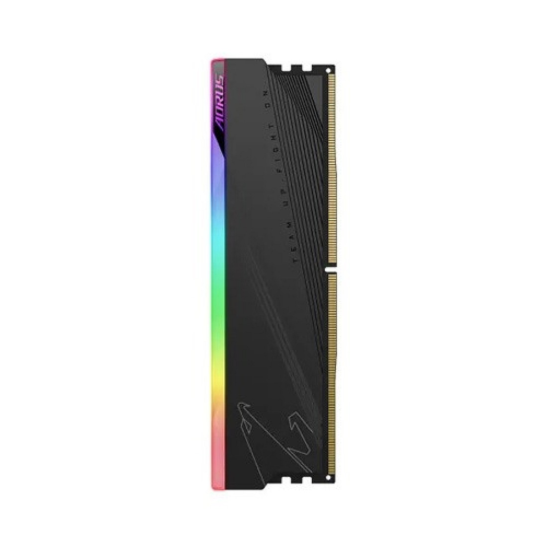 Gigabyte AORUS RGB 16GB DDR5 RAM price in bd