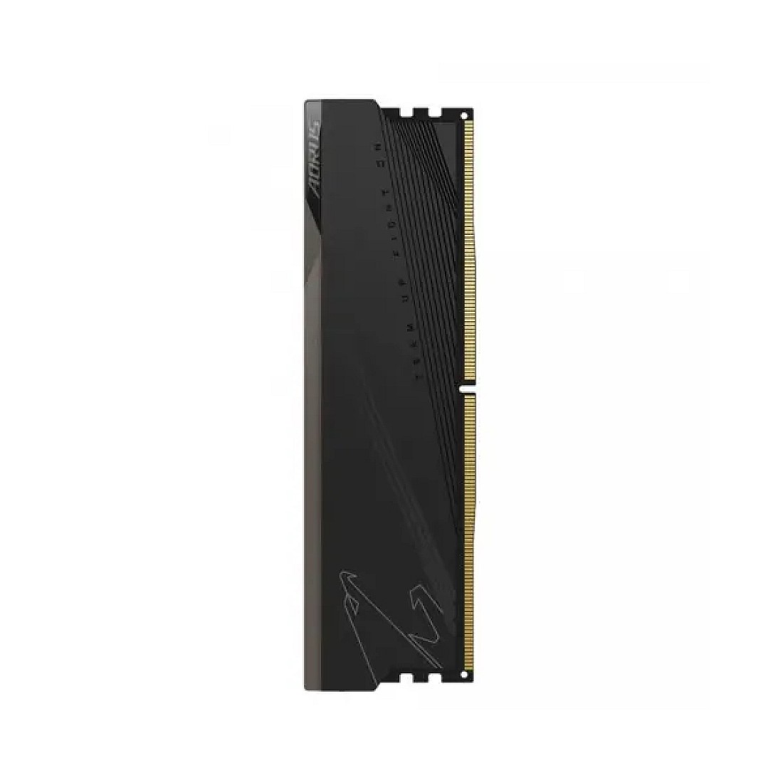 Gigabyte AORUS DDR5 16GB Desktop RAM Price in Bangladesh